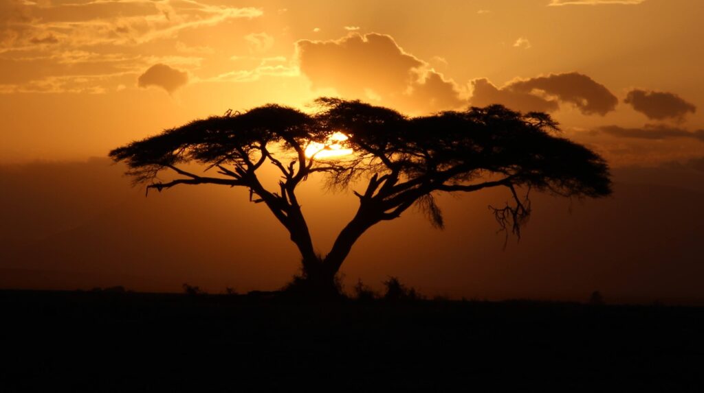 Dr. Marnee – Dr. Marnee Firestone Psy.D., P.A.